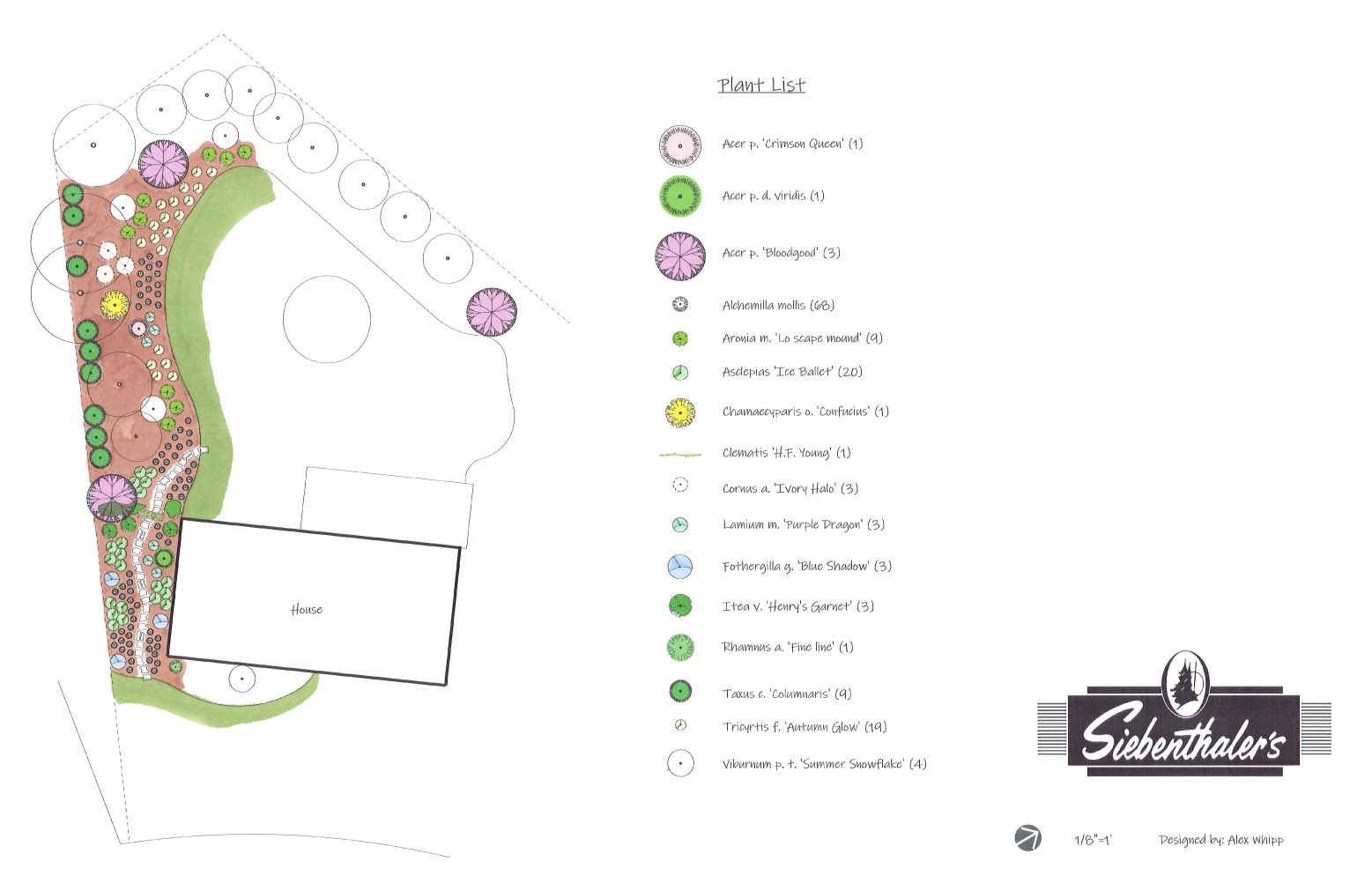 Alexander Whipp | Siebenthaler's